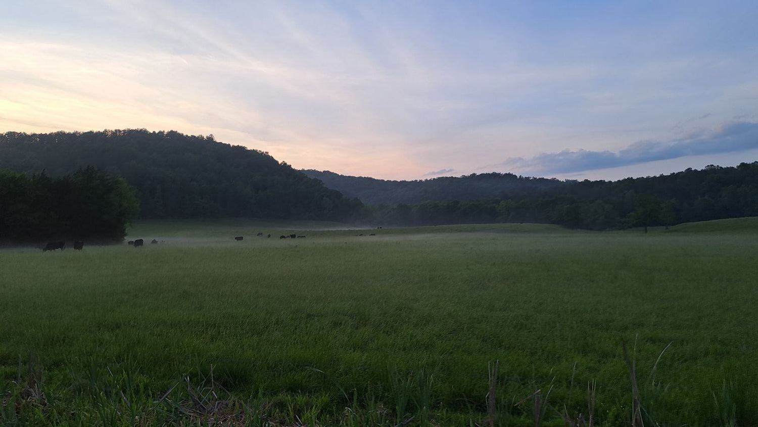 Two Ravens: Tool & Craft